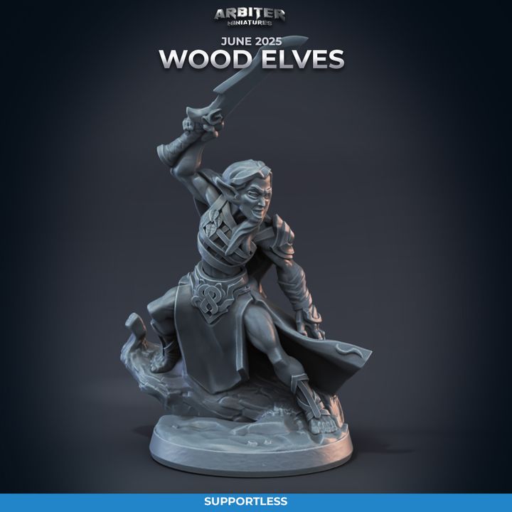 3D Printable Arbiter Miniatures June 2025 Wood Elves Supportless by ...