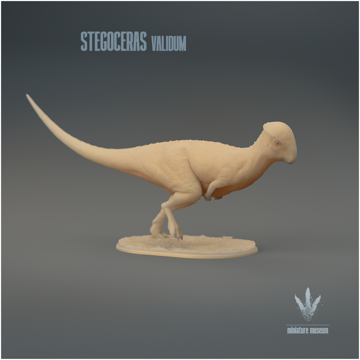 3D Printable Stegoceras validum : Run by Miniature Museum