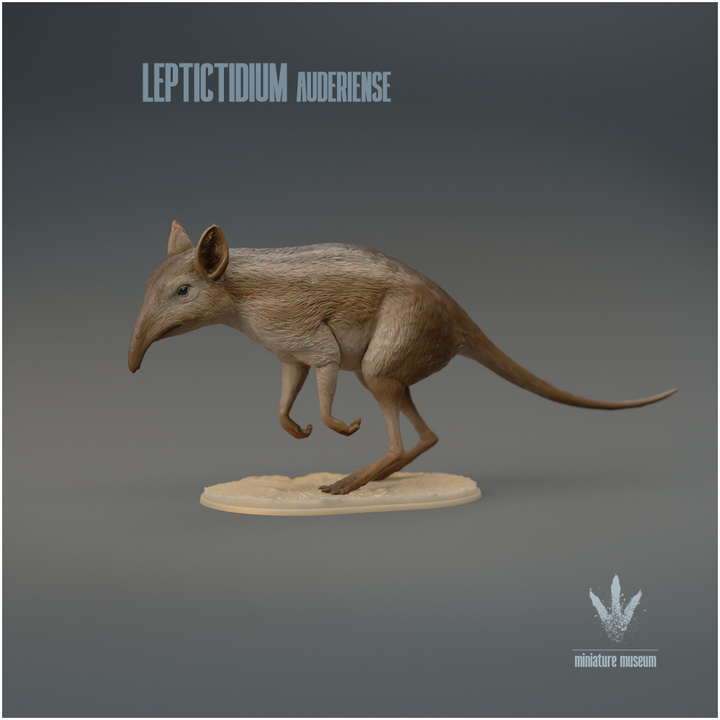 3D Printable Leptictidium auderiense : The Prehistoric Shrew-like ...