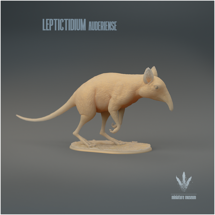3D Printable Leptictidium auderiense : The Prehistoric Shrew-like ...