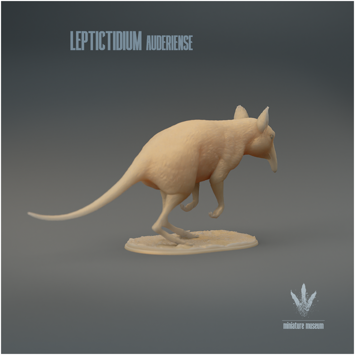 3D Printable Leptictidium auderiense : The Prehistoric Shrew-like ...