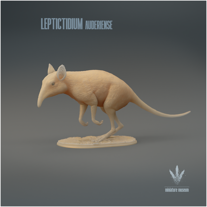 3D Printable Leptictidium auderiense : The Prehistoric Shrew-like ...