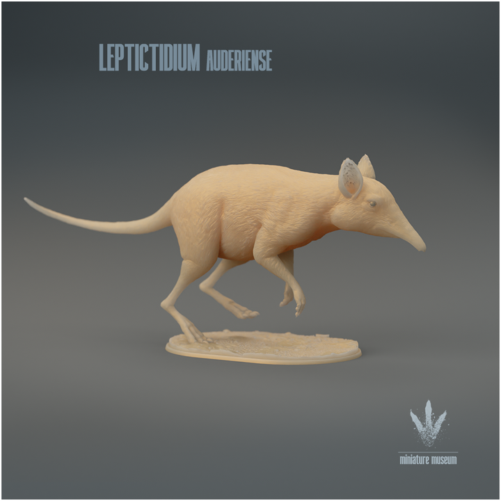 3D Printable Leptictidium auderiense : Running by Miniature Museum