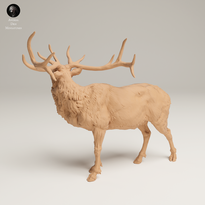 3D Printable Rocky Mountain Elk Bugle by Animal Den Miniatures