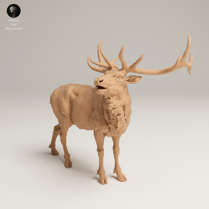 3D Printable Rocky Mountain Elk Bugle by Animal Den Miniatures