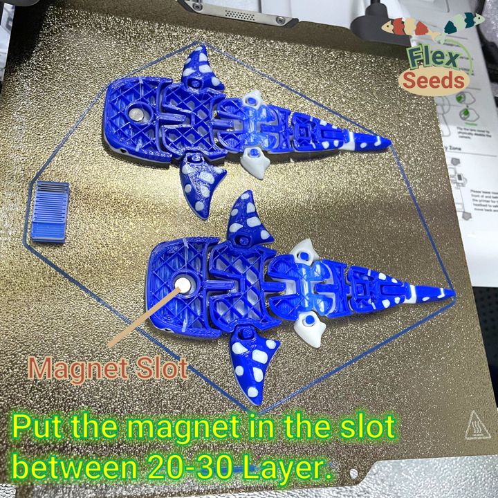 3D Printable Flexi Mini Whale Shark (Print-in-place) by 3D Flexseeds