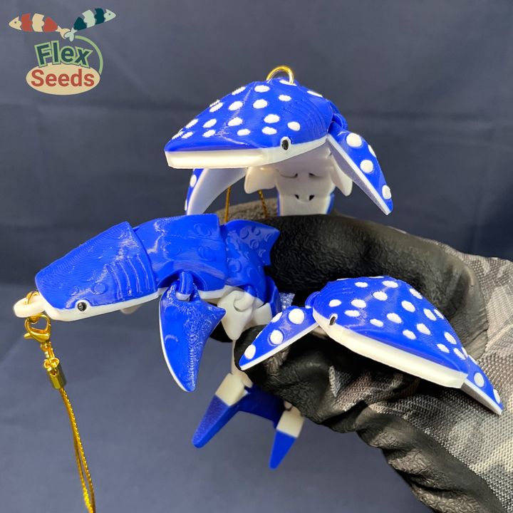 3D Printable Flexi Mini Whale Shark (Print-in-place) by 3D Flexseeds