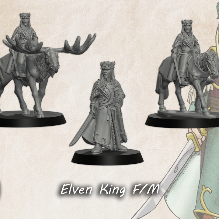 3D Printable Elven King F/M by Medbury Miniatures