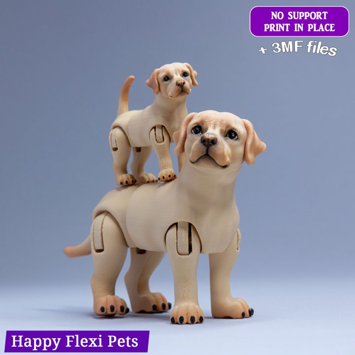 3D Printable Labrador retriever realistic dog articulated flexi toy ...