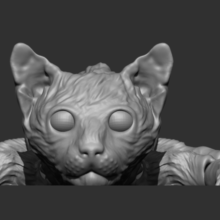 3D Printable FLEXI ARTICULATED CAT TOM – 🐱 FLUFFY, CUTE, AND WILDLY ...