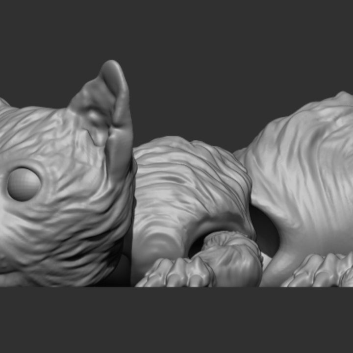 3D Printable FLEXI ARTICULATED CAT TOM – 🐱 FLUFFY, CUTE, AND WILDLY ...