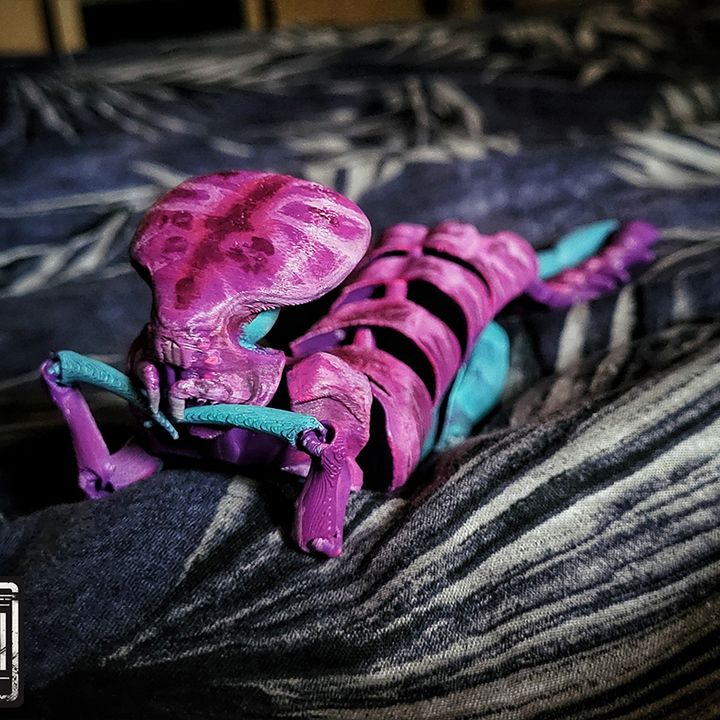 3D Printable Articulated Warper by MagniModels