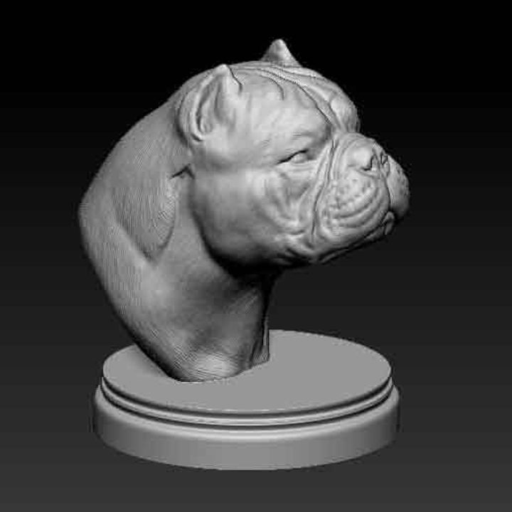 3D Printable Bully bust by Giunninen Andrei