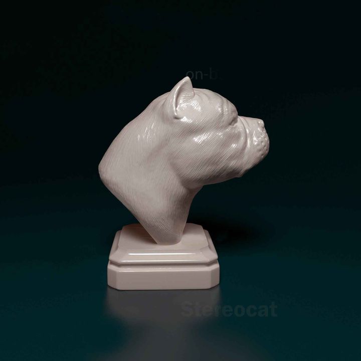 3D Printable Bully bust by Giunninen Andrei