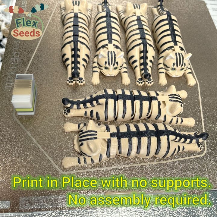 3D Printable Flexi Holding Tabby Cat Set (Print-in-place) by 3D Flexseeds