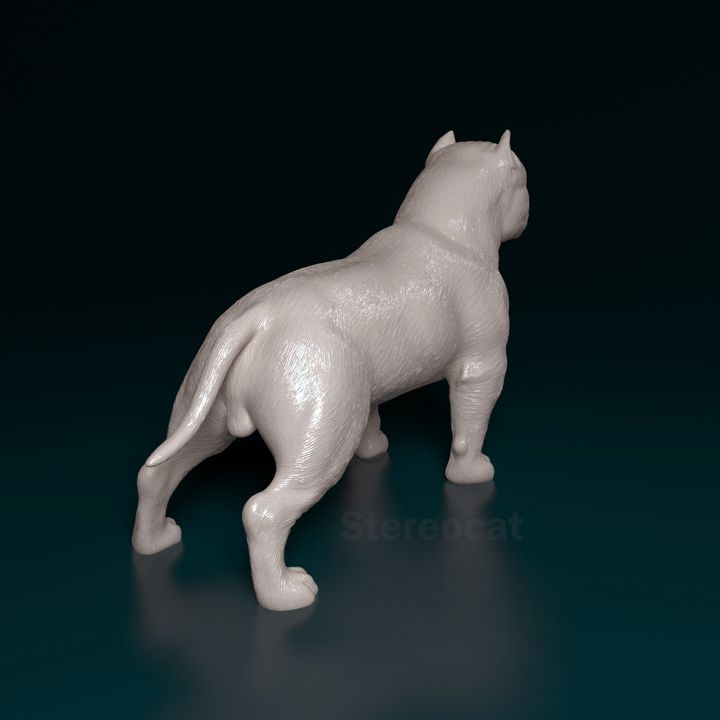 3D Printable Ambully by Giunninen Andrei