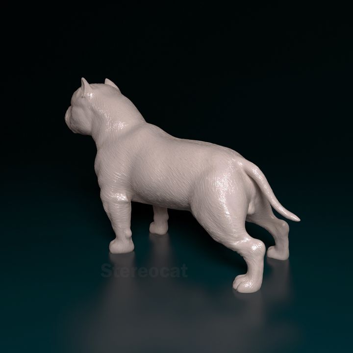 3D Printable Ambully by Giunninen Andrei