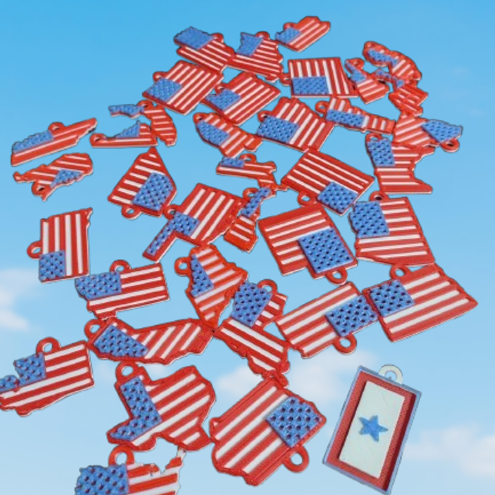 3D Printable Set of 50 2inch USA Flag State Shaped Keychains by Brianna N.
