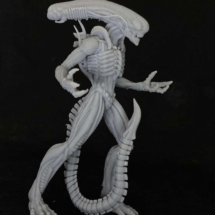 3D Printable XENO ULTRAMORPH by PAPSIKELS MINIATURES