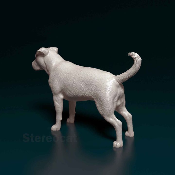 3D Printable American Pitbull by Giunninen Andrei