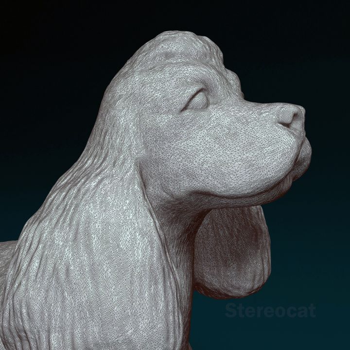 3D Printable American Cocker Spaniel by Giunninen Andrei