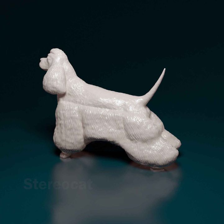 3D Printable American Cocker Spaniel by Giunninen Andrei