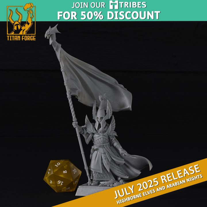 3D Printable Highborne Noble - Highborne Elves and Arabian Nights ...