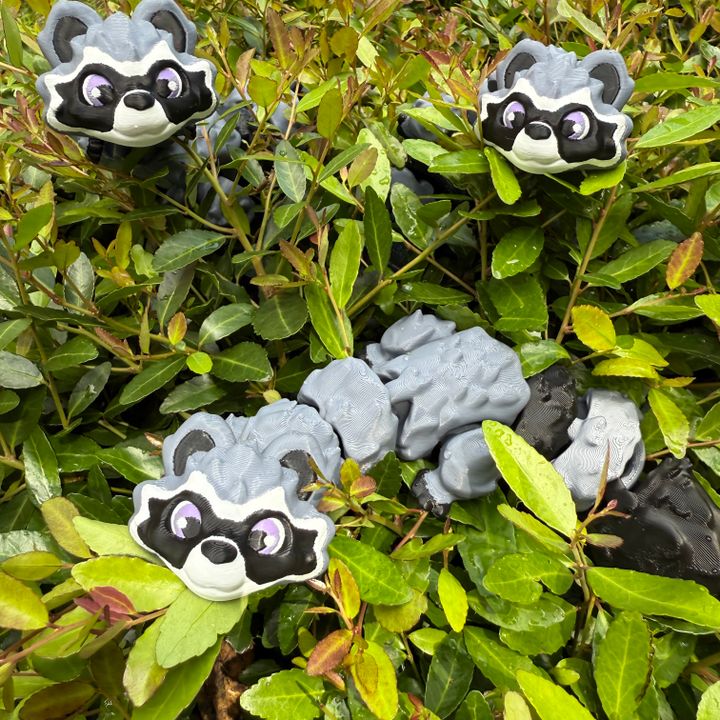 3D Printable Bandit the Raccoon V1 by Rebel Alicorn Designs
