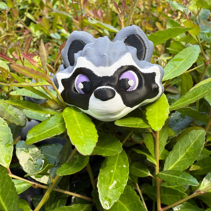3D Printable Bandit the Raccoon V1 by Rebel Alicorn Designs