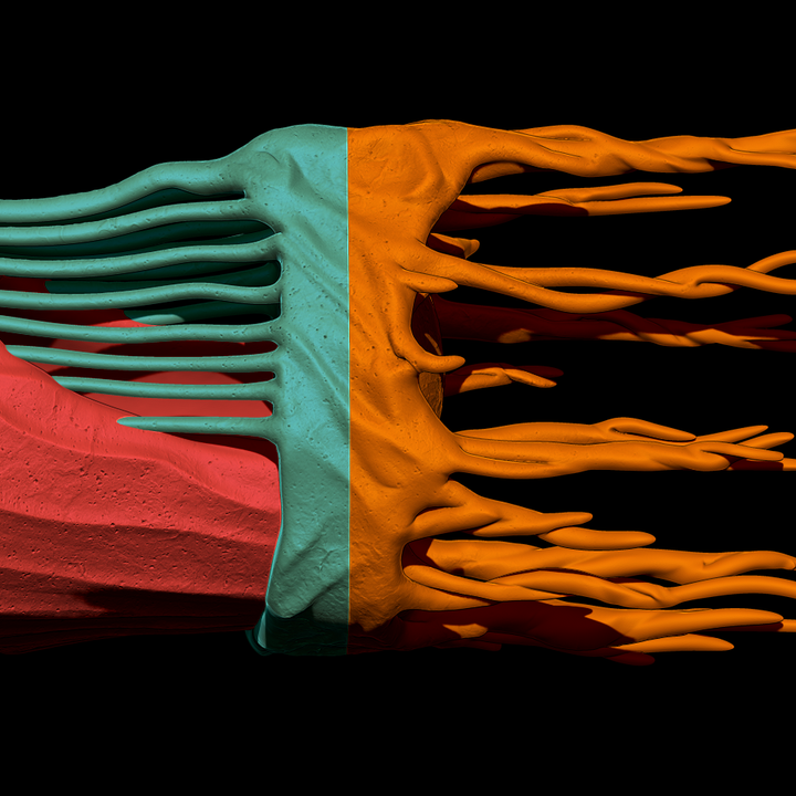 3D Printable HEOLSTOR the NIGHTLORD – Cosplay Helmet – Nightreign Fan ...