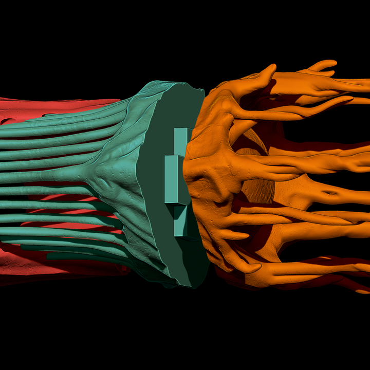 3D Printable HEOLSTOR the NIGHTLORD – Cosplay Helmet – Nightreign Fan ...