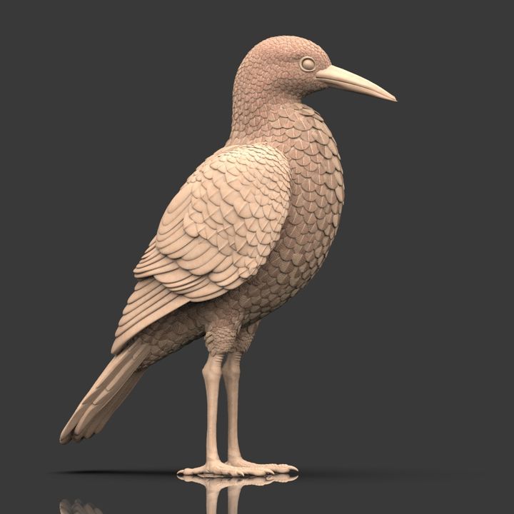 3D Printable Bird Sculpture by Dmitry Tishchenkov