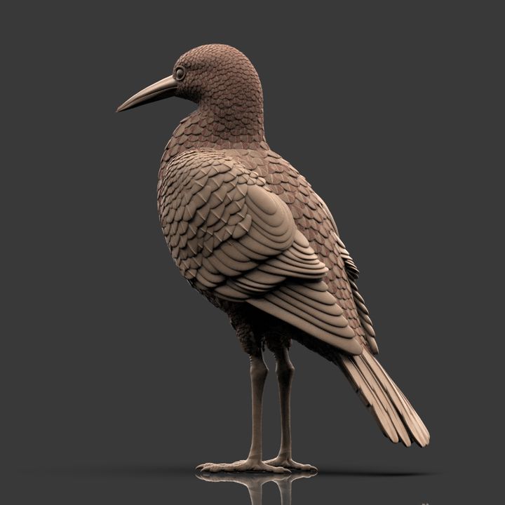 3D Printable Bird Sculpture by Dmitry Tishchenkov