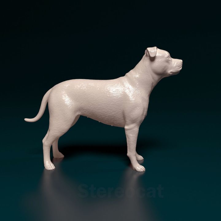 3D Printable American Pitbull by Giunninen Andrei