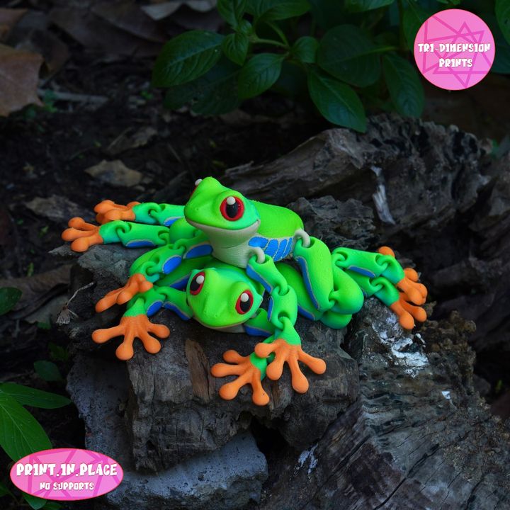 3D Printable Flexi Red-Eyed Tree Frog by TriDimensionPrints