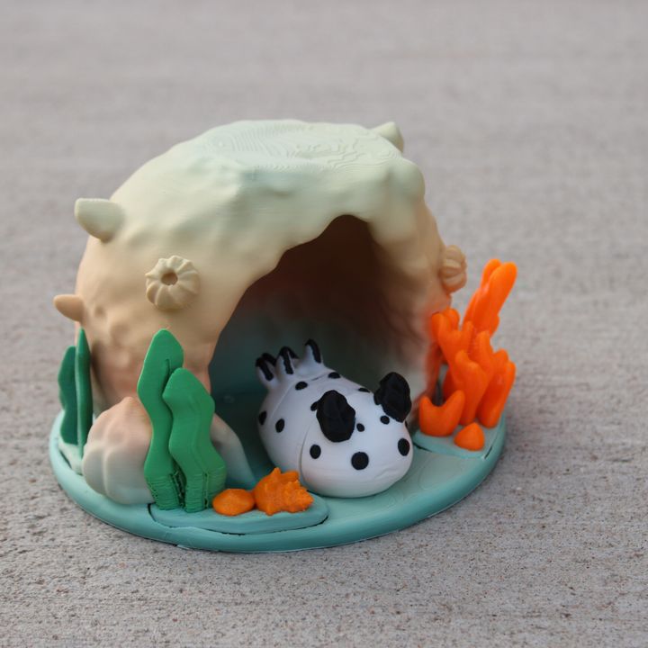 3D Printable Coral Cave Display by Teal Cat Creative