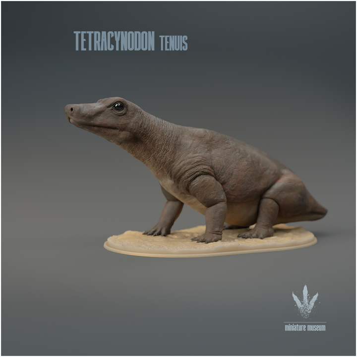3D Printable Tetracynodon tenuis : Sitting by Miniature Museum