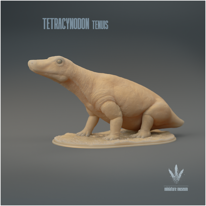 3D Printable Tetracynodon tenuis : Sitting by Miniature Museum