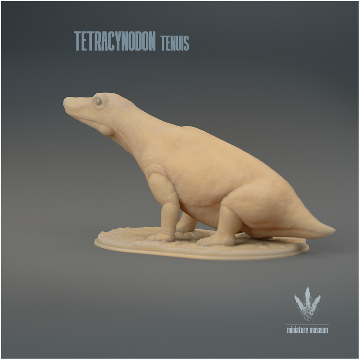 3D Printable Tetracynodon tenuis : Sitting by Miniature Museum