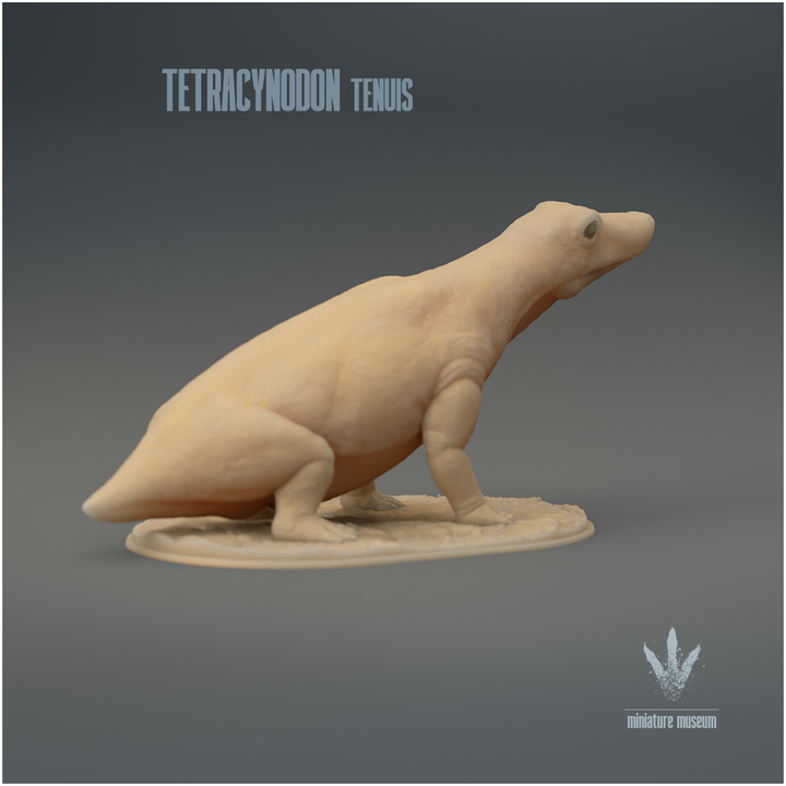 3D Printable Tetracynodon tenuis : Sitting by Miniature Museum