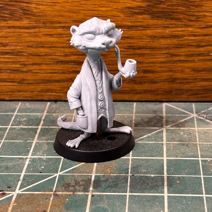 3D Printable Weasel Scholar by Lore Miniatures