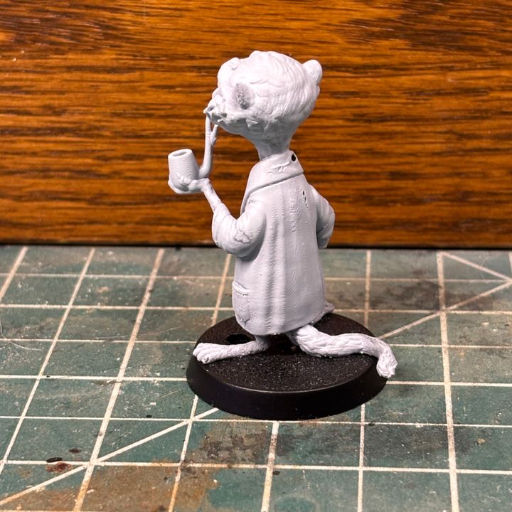 3D Printable Weasel Scholar by Lore Miniatures