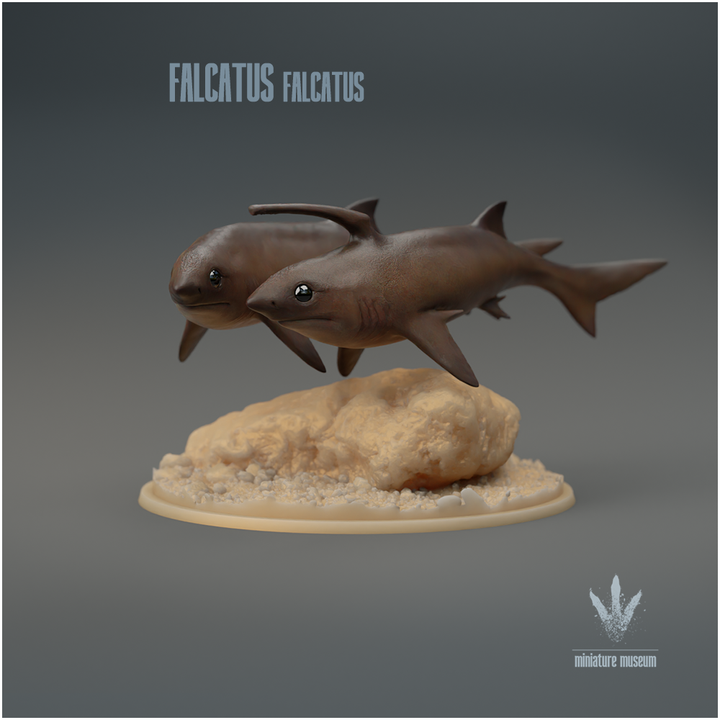 3D Printable Falcatus falcatus : Couple by Miniature Museum
