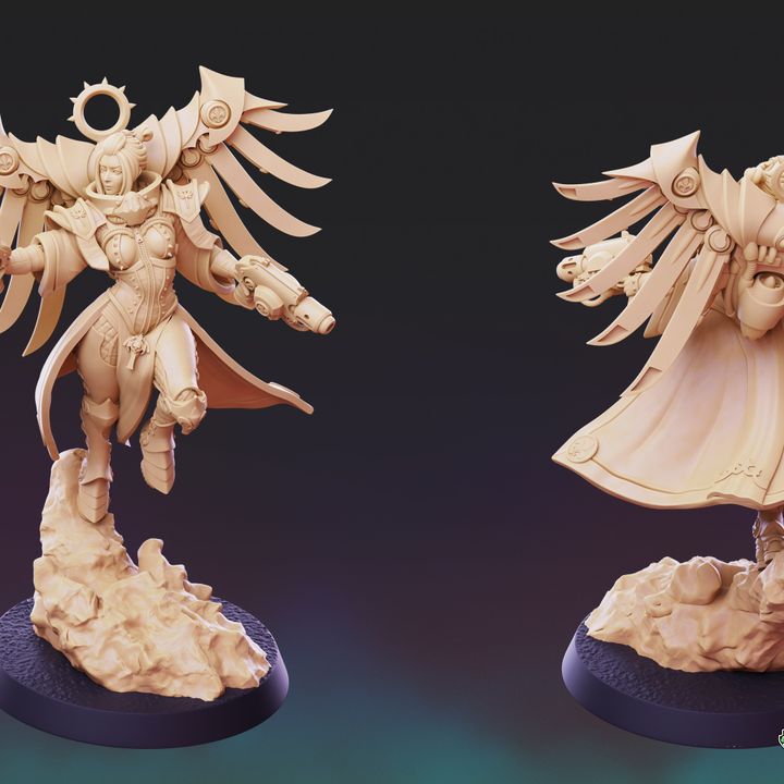 3D Printable Divine Order Valkyries Vol 2 Bundle by PSMiniatures