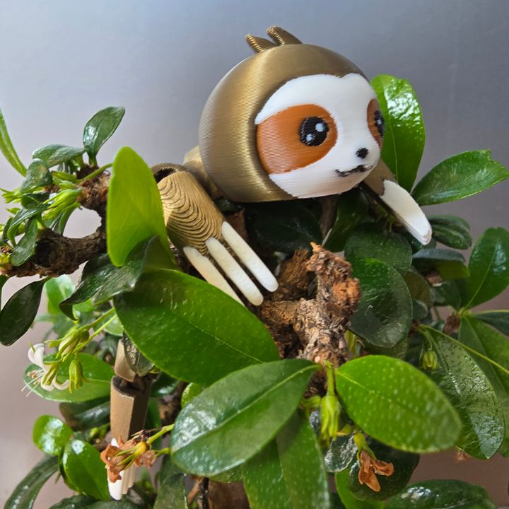3D Printable Flexi Sloth by Fillifuu