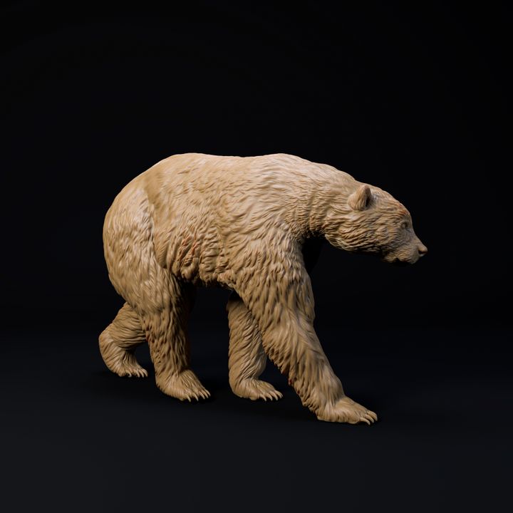 3D Printable Arctodus Simus Short faced bear pre-supported prehistoric ...