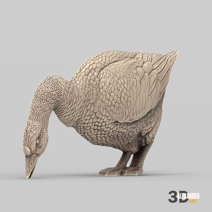 3D Printable goose is nibbling grass bas-relief by Alexander3dart