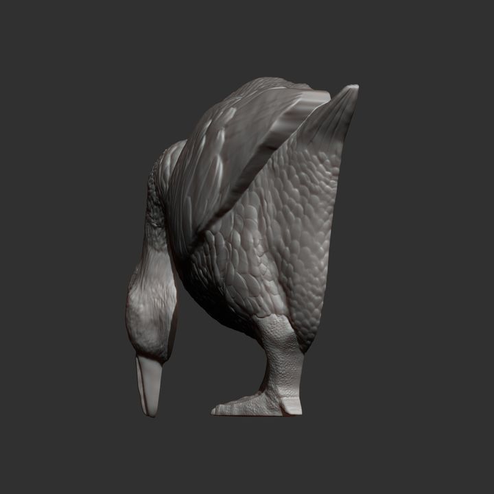 3D Printable goose is nibbling grass bas-relief by Alexander3dart