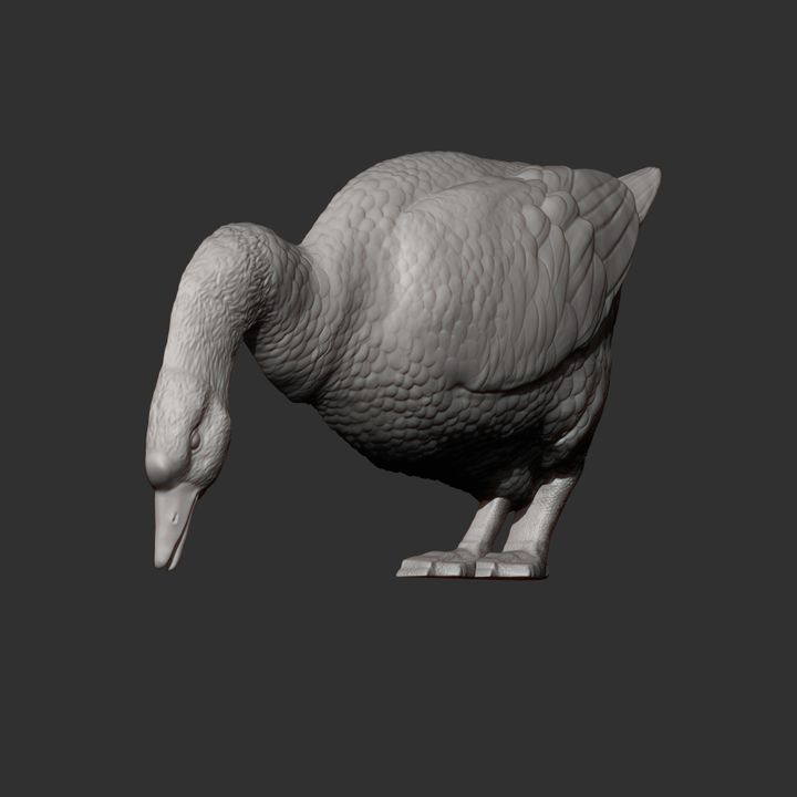 3D Printable goose is nibbling grass bas-relief by Alexander3dart