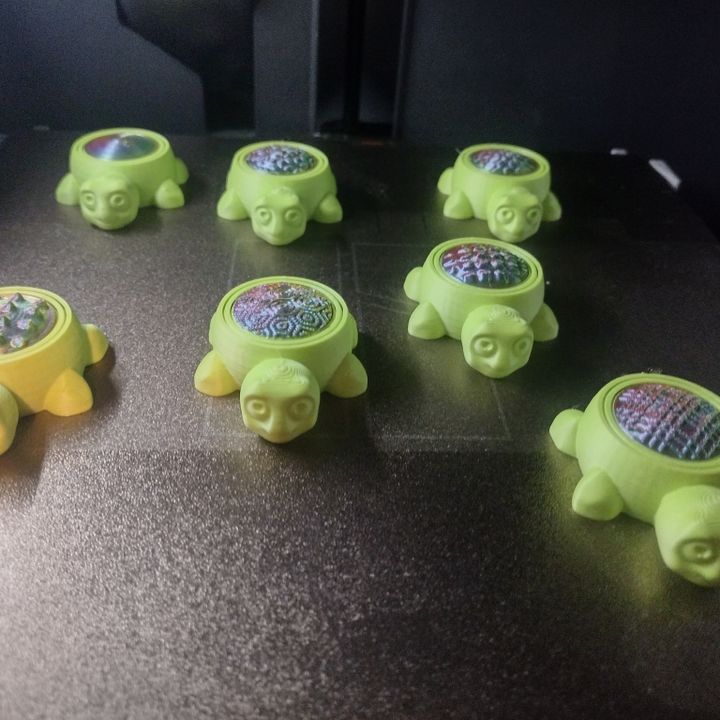 3D Printable Turtle Gyro Fidget-- Easy, fast print! by Jambaby Designs